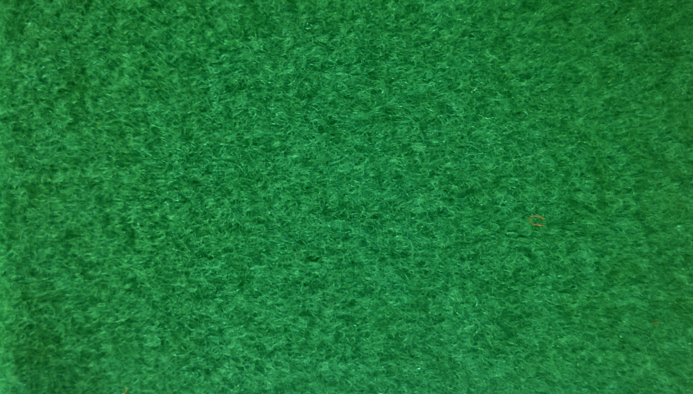 Green Carpet Target at Tessie Ketterman blog