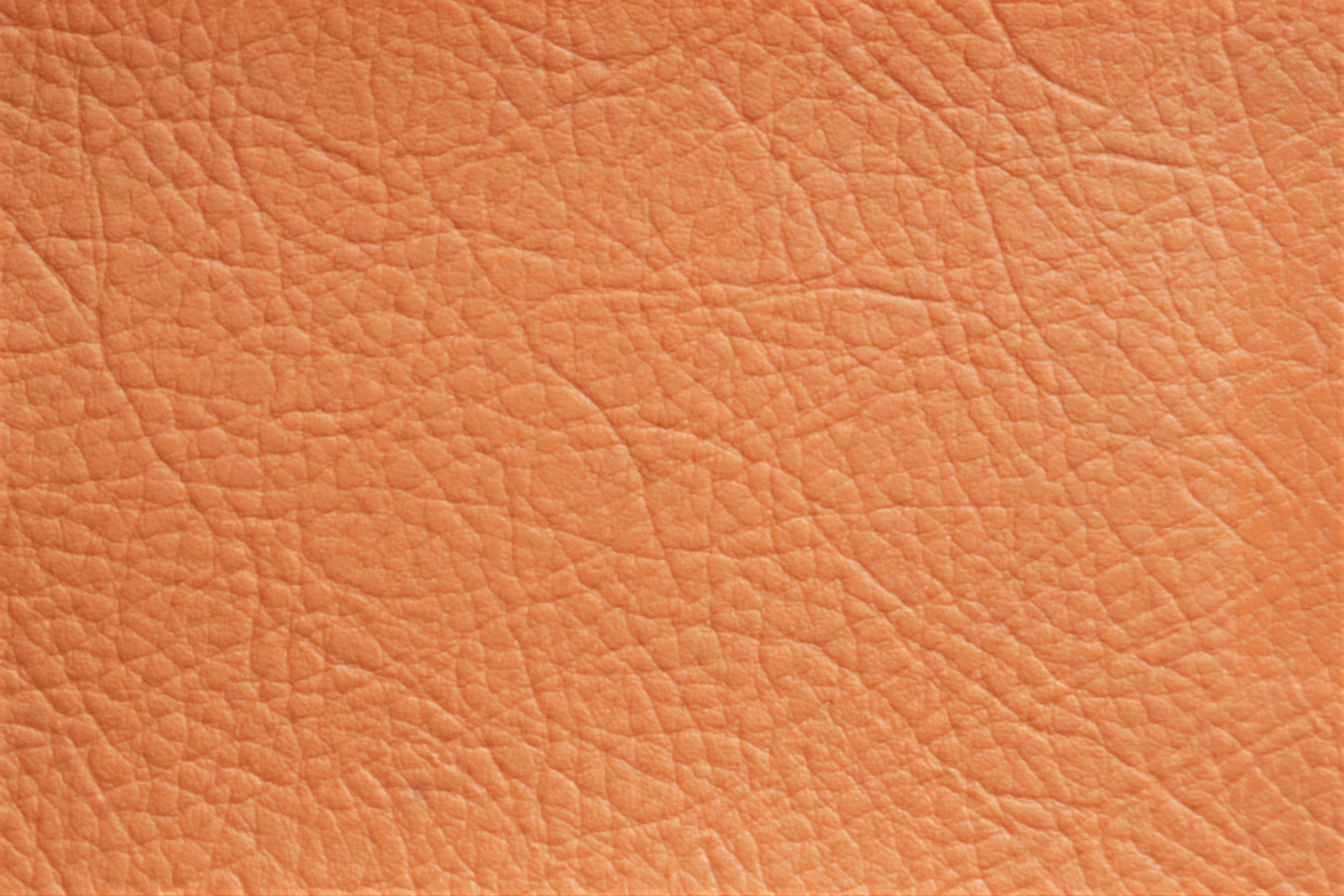 Products | Auto Lounge Materials